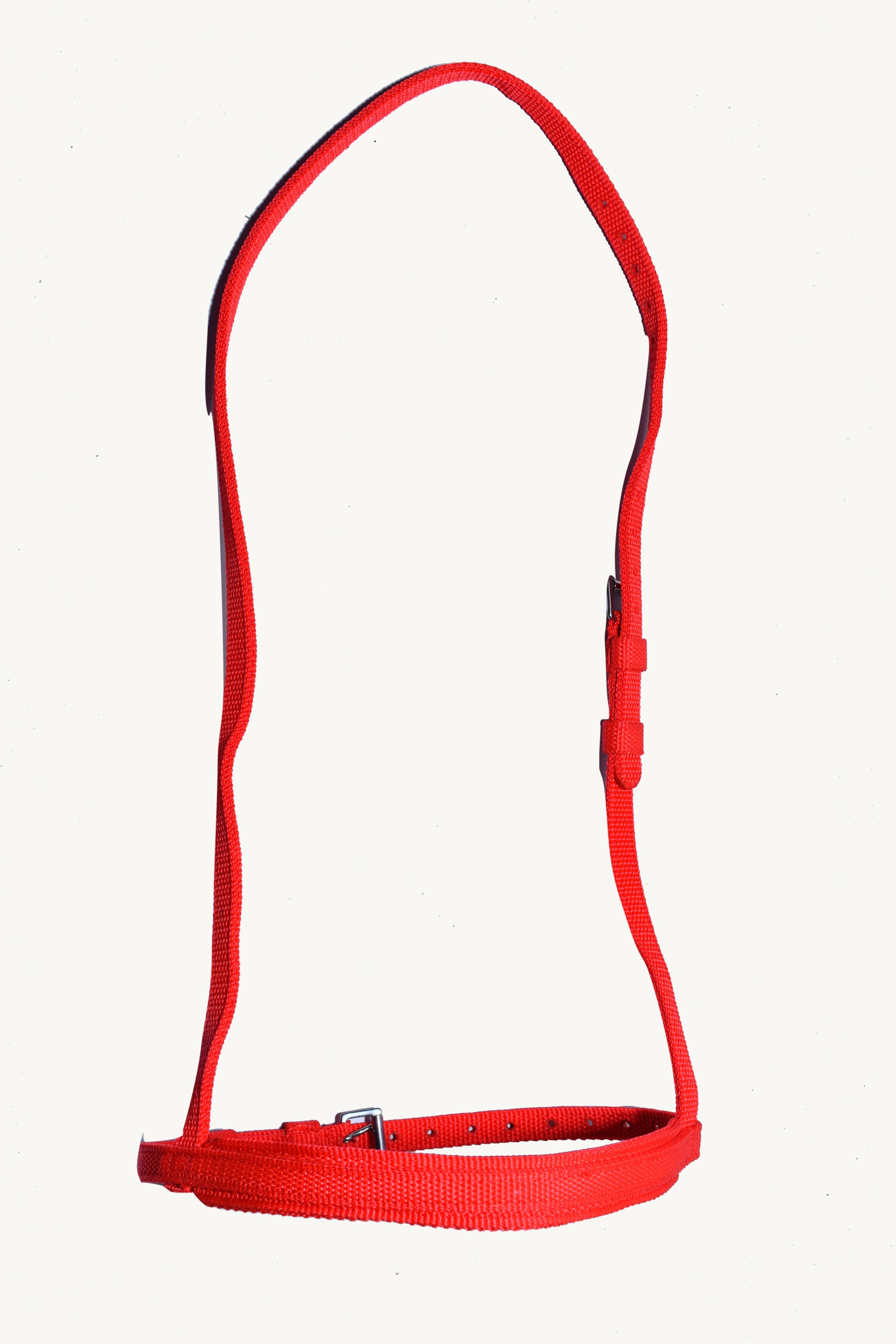 Nylon Racing Tack Regular Noseband – Bridleberry Leather Tack Co.